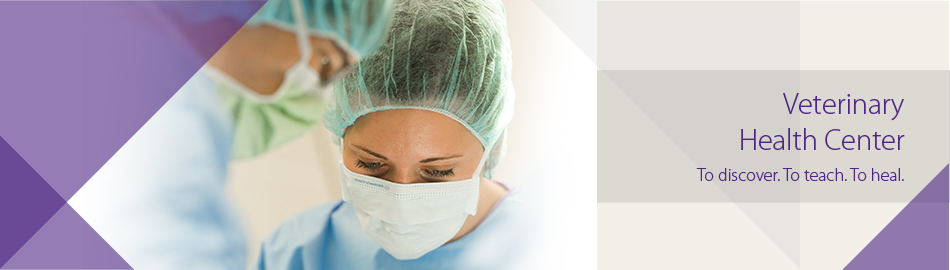 Veterinary Health Center | College of Veterinary Medicine | Kansas ...